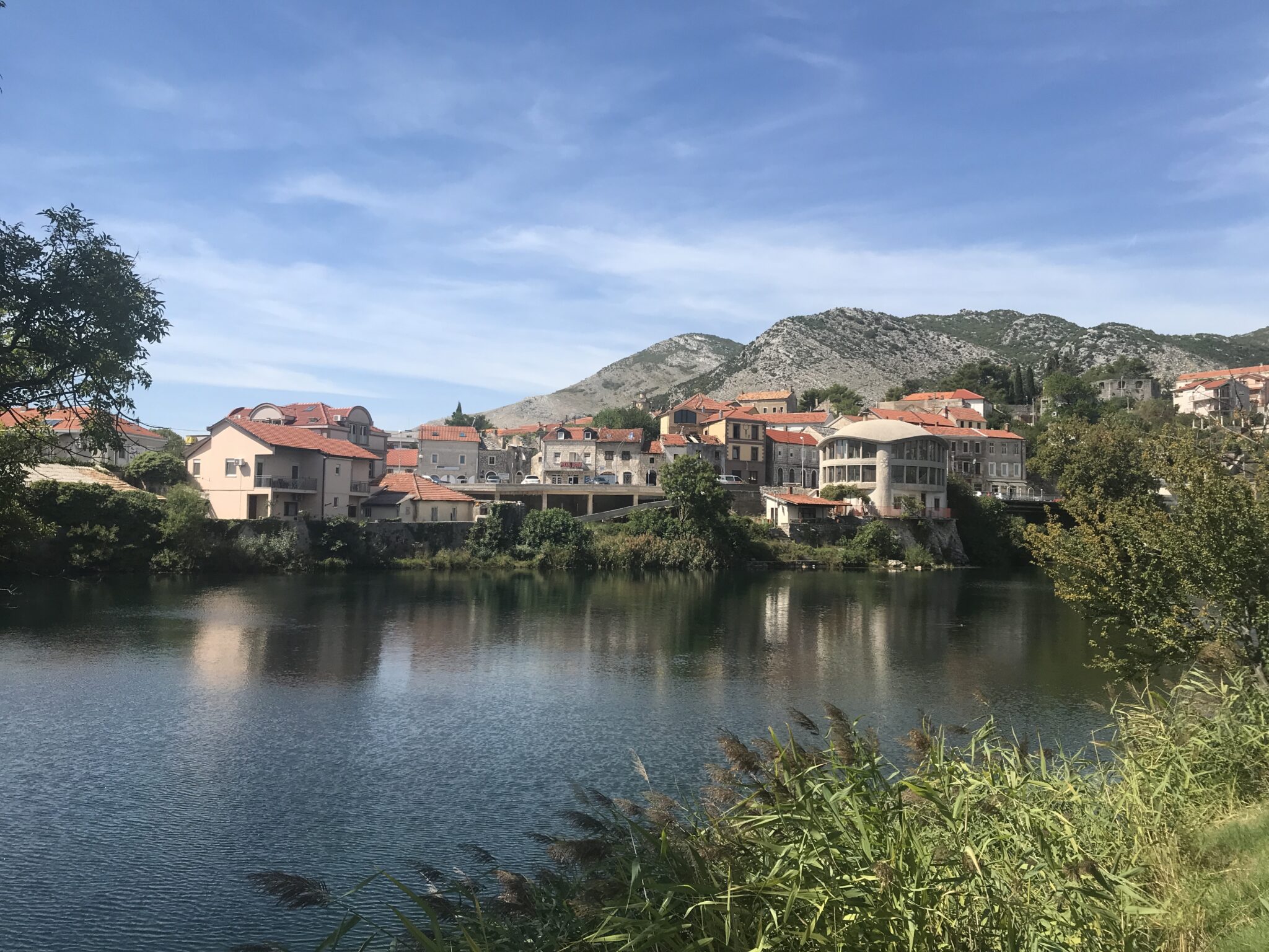 Travel Animal Rescue Global